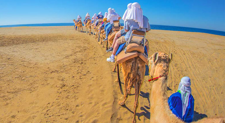 Things to do in Los Cabos, Mexico | Tourist Attractions | Vacation Ideas